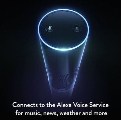 Amazon Echo 1st Generation Smart Speaker with Alexa - Black - Morgan ...