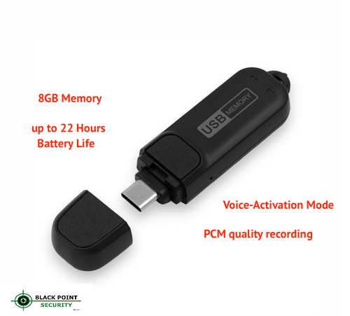 Flash Drive USB-C Voice Activated Covert Audio Recorder with PCM Sound ...