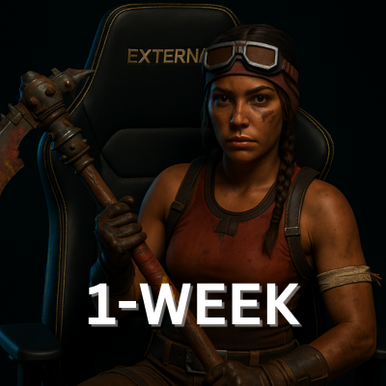 Fortnite External Chair - 1 Week