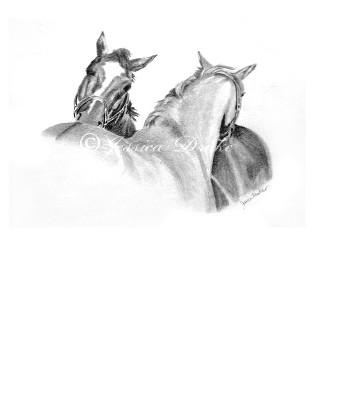 Custom Graphite Horse Head Study - The Painting Pony