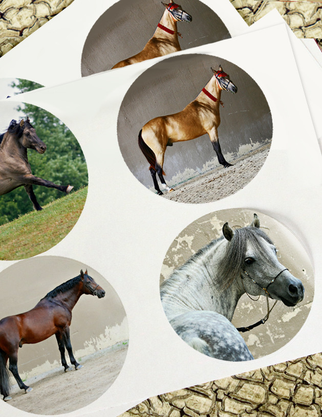 Rare Endangered Horse Breeds Stickers - The Painting Pony