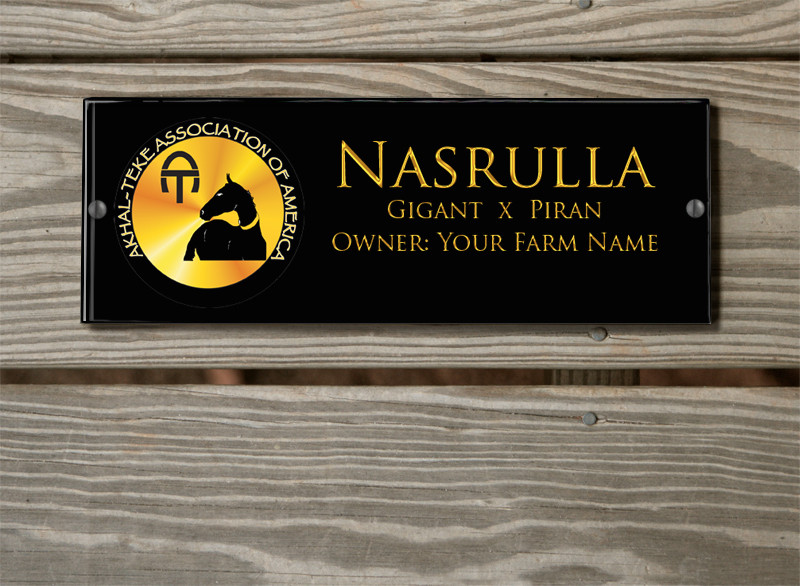 Custom Full Color Acrylic Horse Stall Name Plate - The Painting Pony