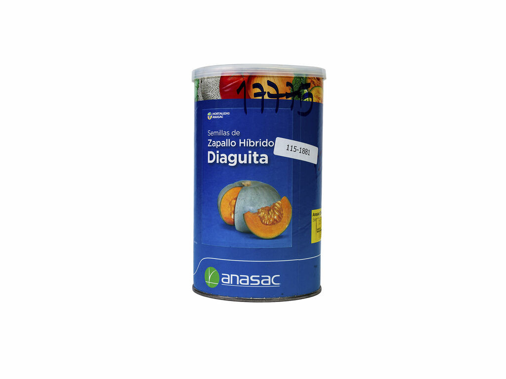 Semillas ANASAC Zapallo Diaguita - 1000 semillas | Copeval