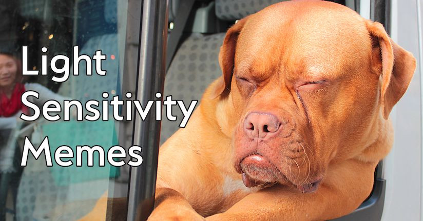 9 Perfect (and Hilarious) Memes about Light Sensitivity - TheraSpecs