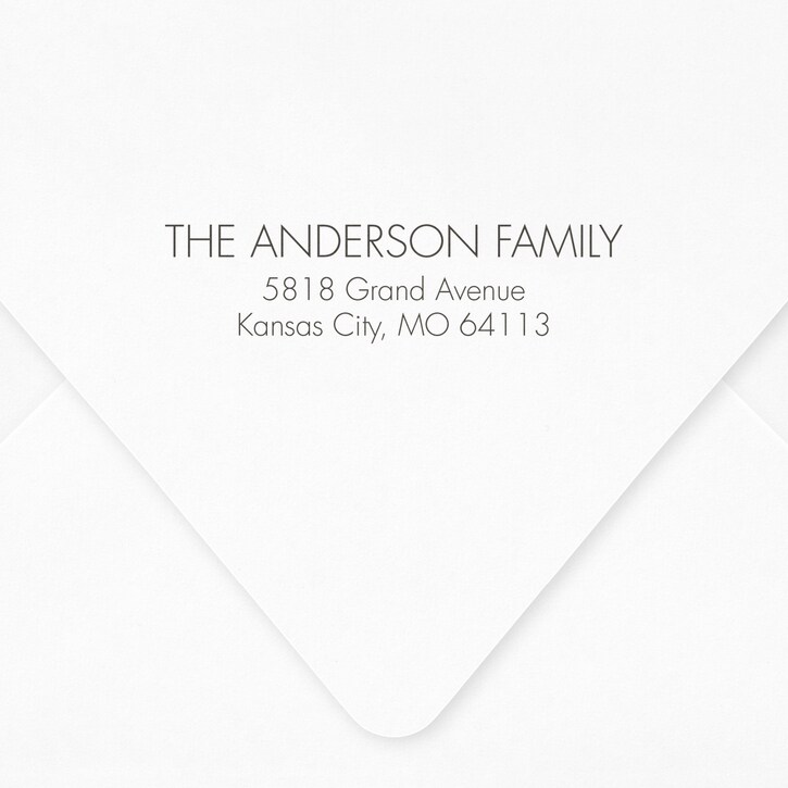 The Anderson Personalized Self-Inking Address Stamp | 10,000 ...