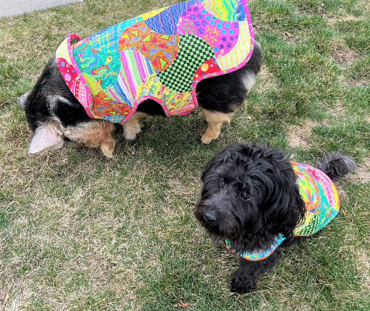 Apple Core Printed Interfacing Patter