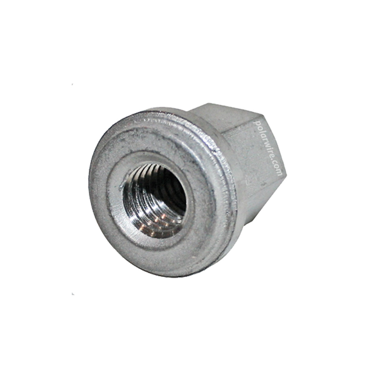 STUD NUT STAINLESS STEEL - Polar Wire