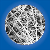 Pall Life Science Filter Paper-PALL 61631 - Thermal Scientific Inc