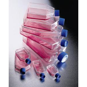 Falcon Tissue Culture Flasks.-CGW 353139 - Thermal Scientific Inc