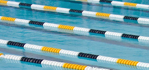 Competitor Gold Medal 6" in. Racing Lanes - 50m/164' Lane - EB Aquatics ...