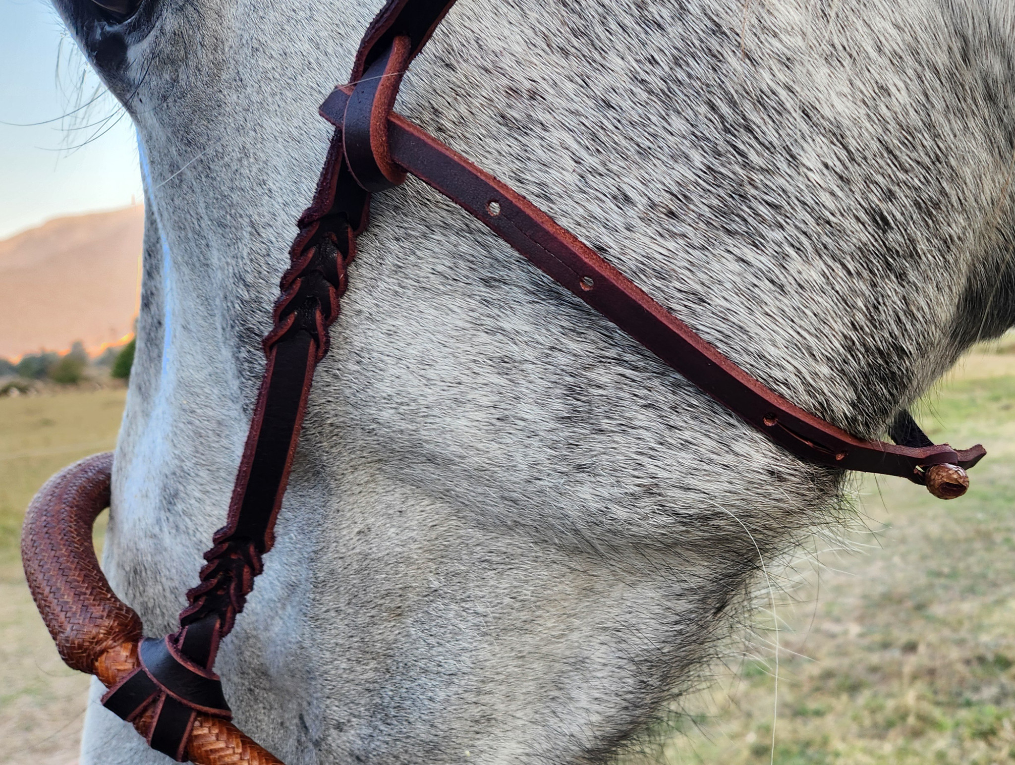 Bosal Hanger Headstall