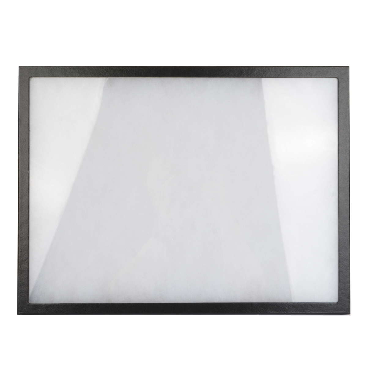 Buy Glass-Topped Riker Display Case | 160BK | 16