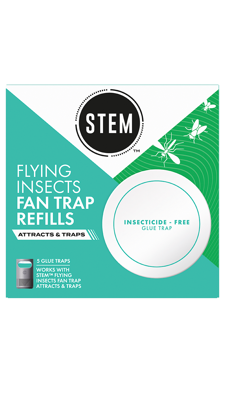 STEM Flying Insects Fan Trap Attracts & Traps
