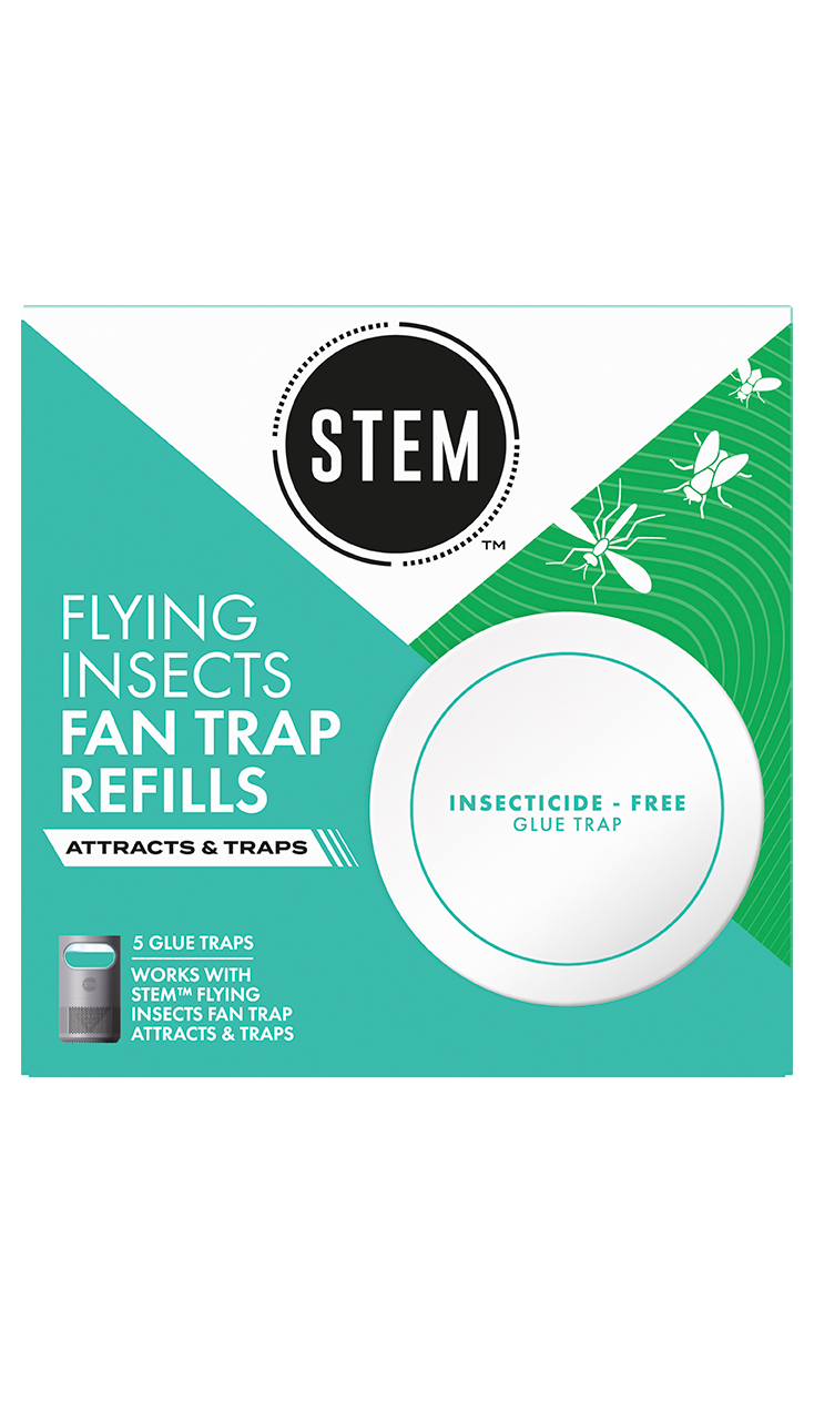 STEM Flying Insects Fan Trap Attracts & Traps
