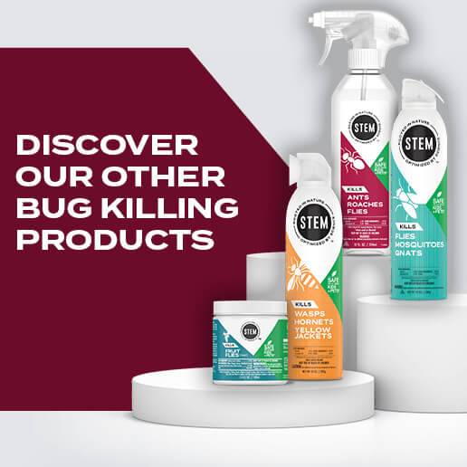 STEM | Bug killers and repellents that scientifically decode mother ...