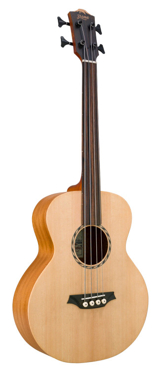 Guitar - Electric / Acoustic Bass - Tahoma Series - Mini Jumbo - Fretless