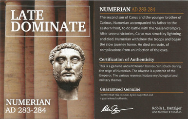 Roman Billon ANT of Numerian (CE283-284) NGC - US State Quarters