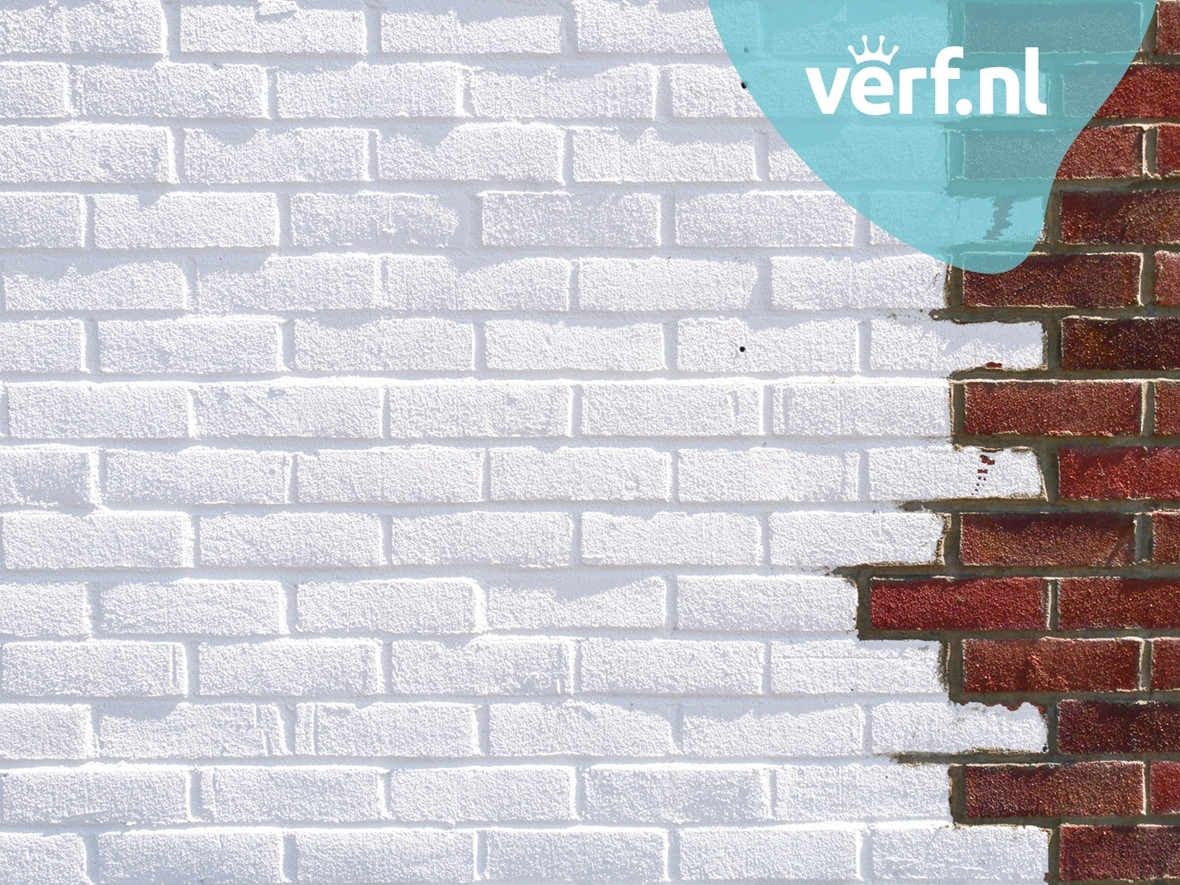 Witte muurverf kopen? Gratis bezorging v.a. € 50,-