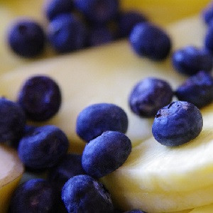 Blueberry (OS) - DIY Vapor Supply