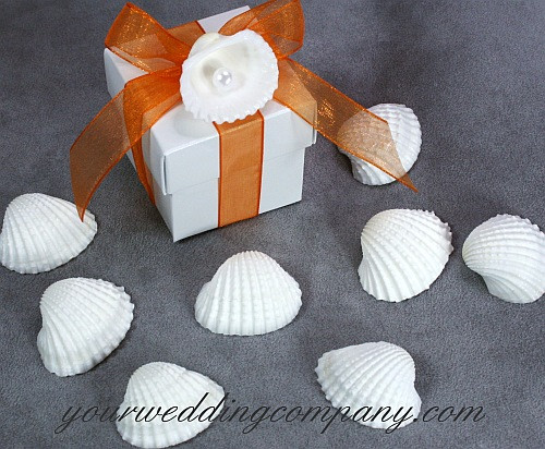 Natural White Ark Shells | White Wedding Shells | Shell Vase Filler