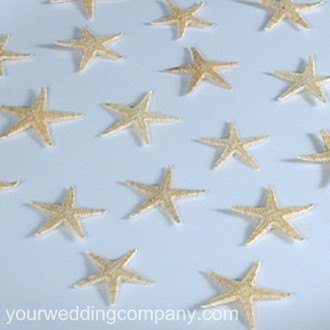 Miniature Natural Starfish | Beach Wedding Starfish | Mini Sea Stars