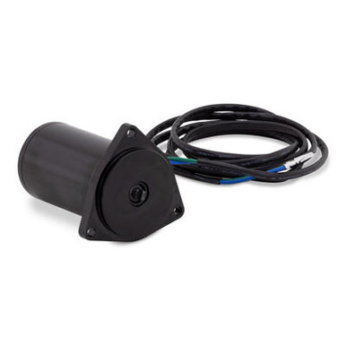 Evinrude, Johnson and Gale Outboard Motors TILT AND TRIM MOTOR (118 ...