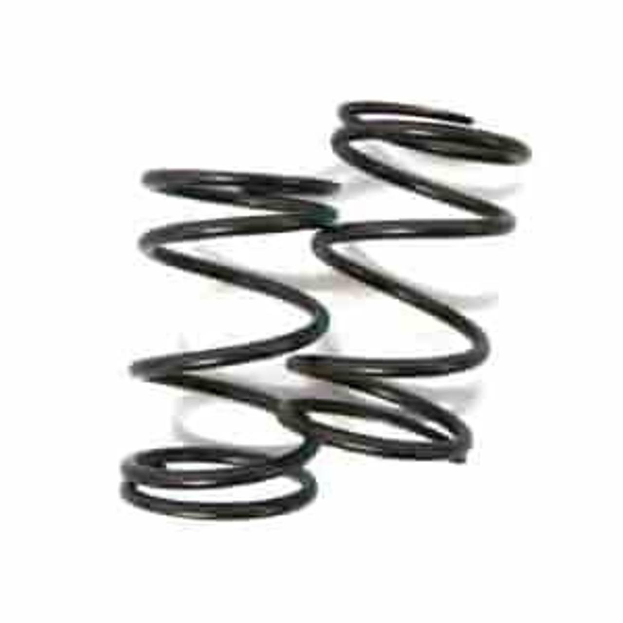 Predator Performance - Predator 212cc - Valve Springs - OMBWarehouse.com
