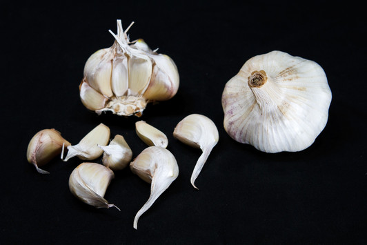 Organic Spring Garlic Seed | Filaree Garlic Farm