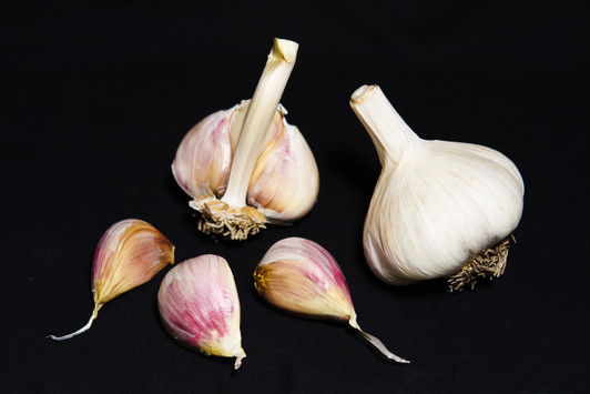 Organic Spring Garlic Seed | Filaree Garlic Farm