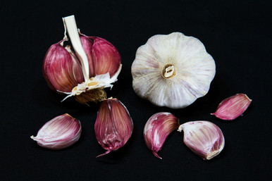 AJO ROJO Garlic | Filaree Organic Seed Farm