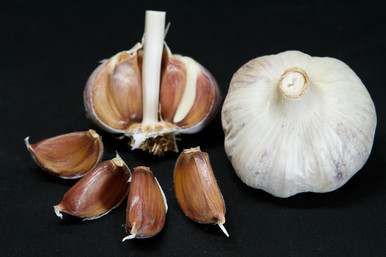 ISLAND ROCAMBOLE Garlic | Filaree Organic Seed Farm