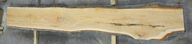 10/4 Honey Locust Live Edge Slab - 3218 - Logs to Lumber Co.