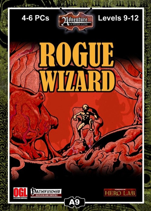 Rogue Wizard PDF