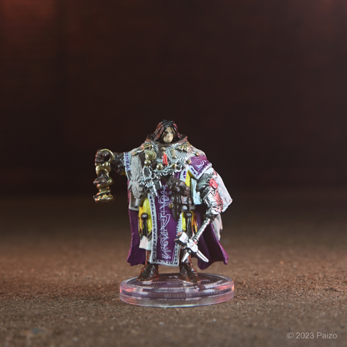 Pathfinder Battles: Iconic Heroes XI Boxed Set