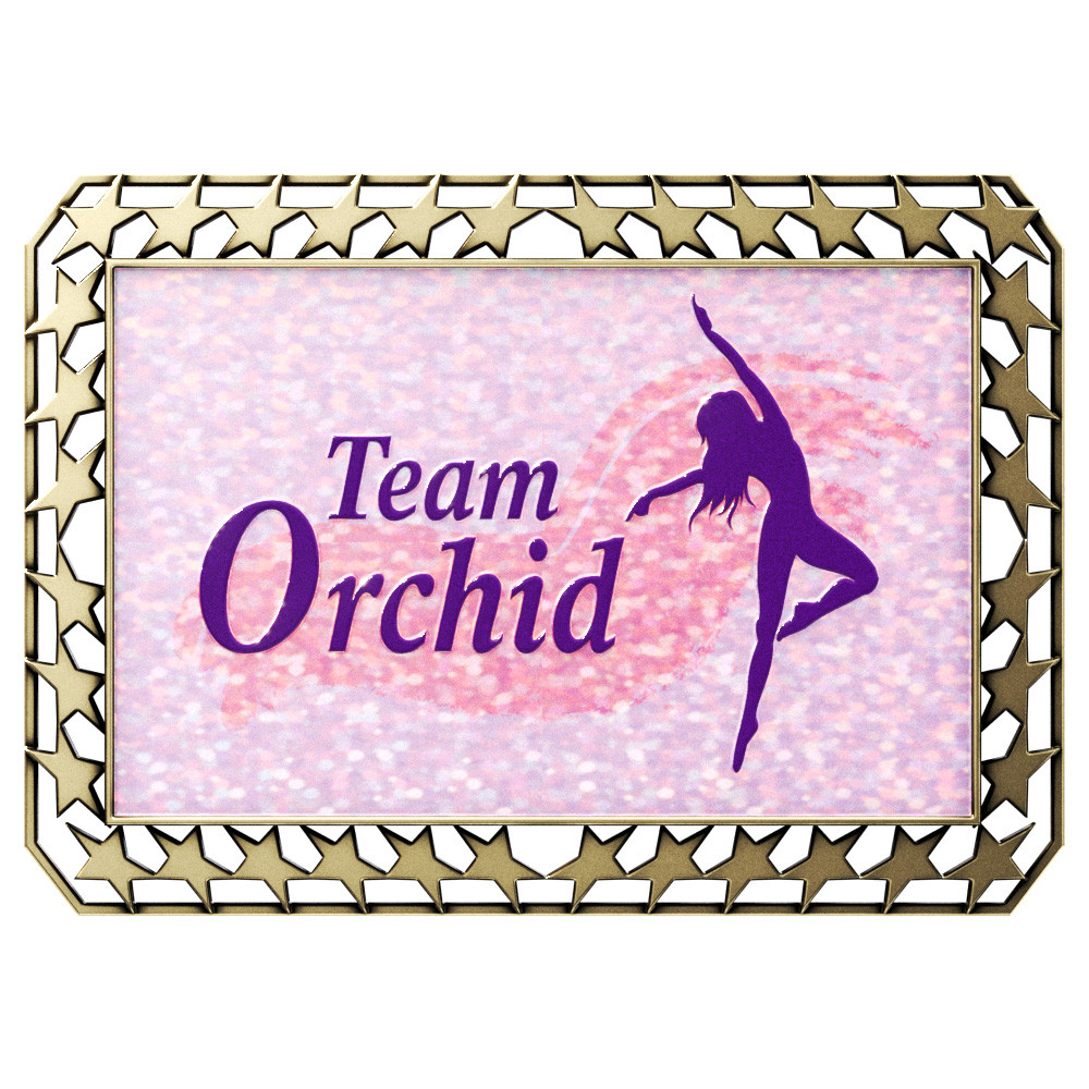 Express Rectangle Insert Medallion