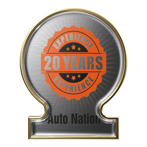 Lapel Pins - Express Pins - Simbaline