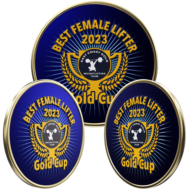 Express Round Lapel Pin Findings