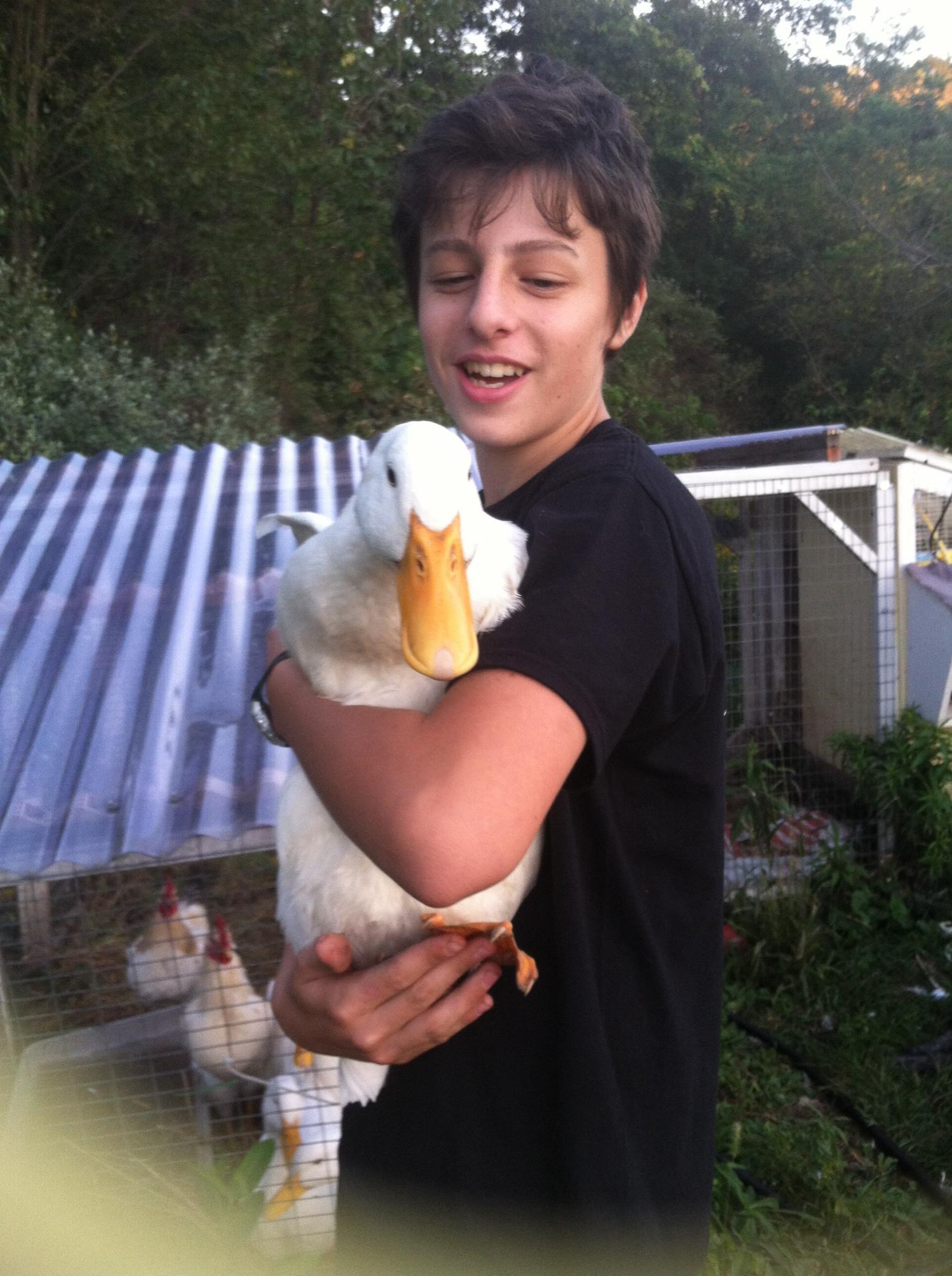 Discover the Delight of Soy-Free, Fully Pastured Duck Eggs! - Now Farms