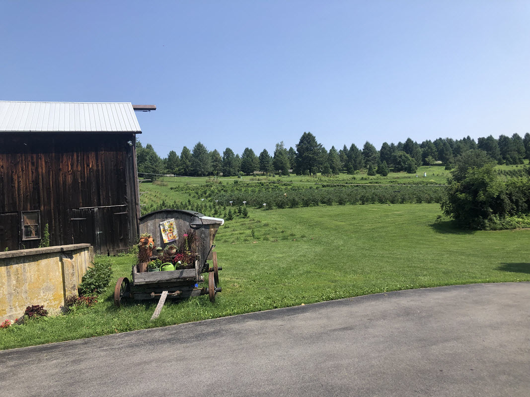 We love our Blueberries! - Now Farms