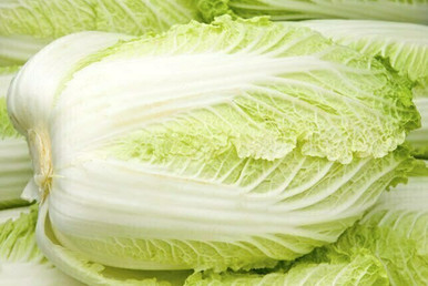 New! Organic Napa Cabbage, Lancaster Farm Fresh Coop , (sold by pound ...