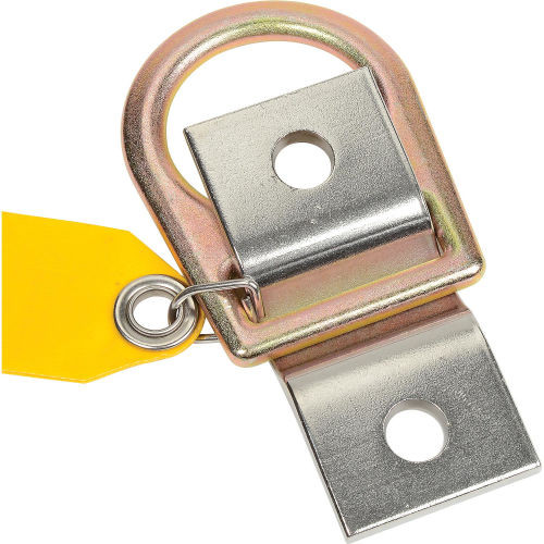 3M DBI SALA 2101630 Stainless Steel D-Ring with Anchorage Plate Anchor ...