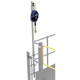 3M DBI SALA 6100565 Fixed Ladder SRL Anchor 6' Stainless Steel ...