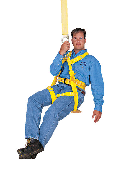 3M DBI SALA Bosun Chair with Belt and Support Straps - Industrial ...
