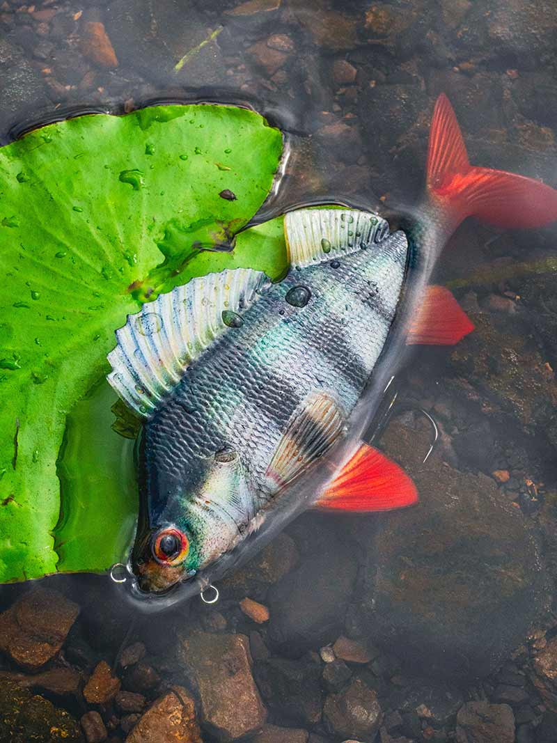 Fox Rage Ultra Realistic Perch - Hooked Tackle