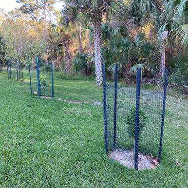 Individual Tree Fence Kit