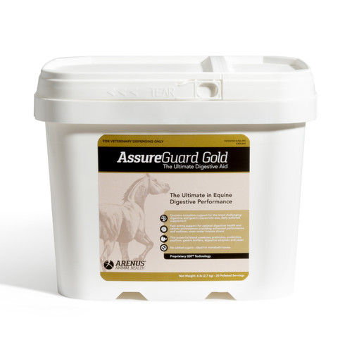 Dog & Equine Supplements - Shop Nutraceutical & Herbal Supplements | Arenus