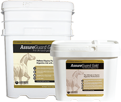 AAEP Veterinary Consult