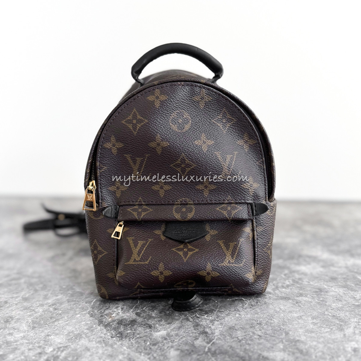 LOUIS VUITTON Palm Springs Mini Backpack