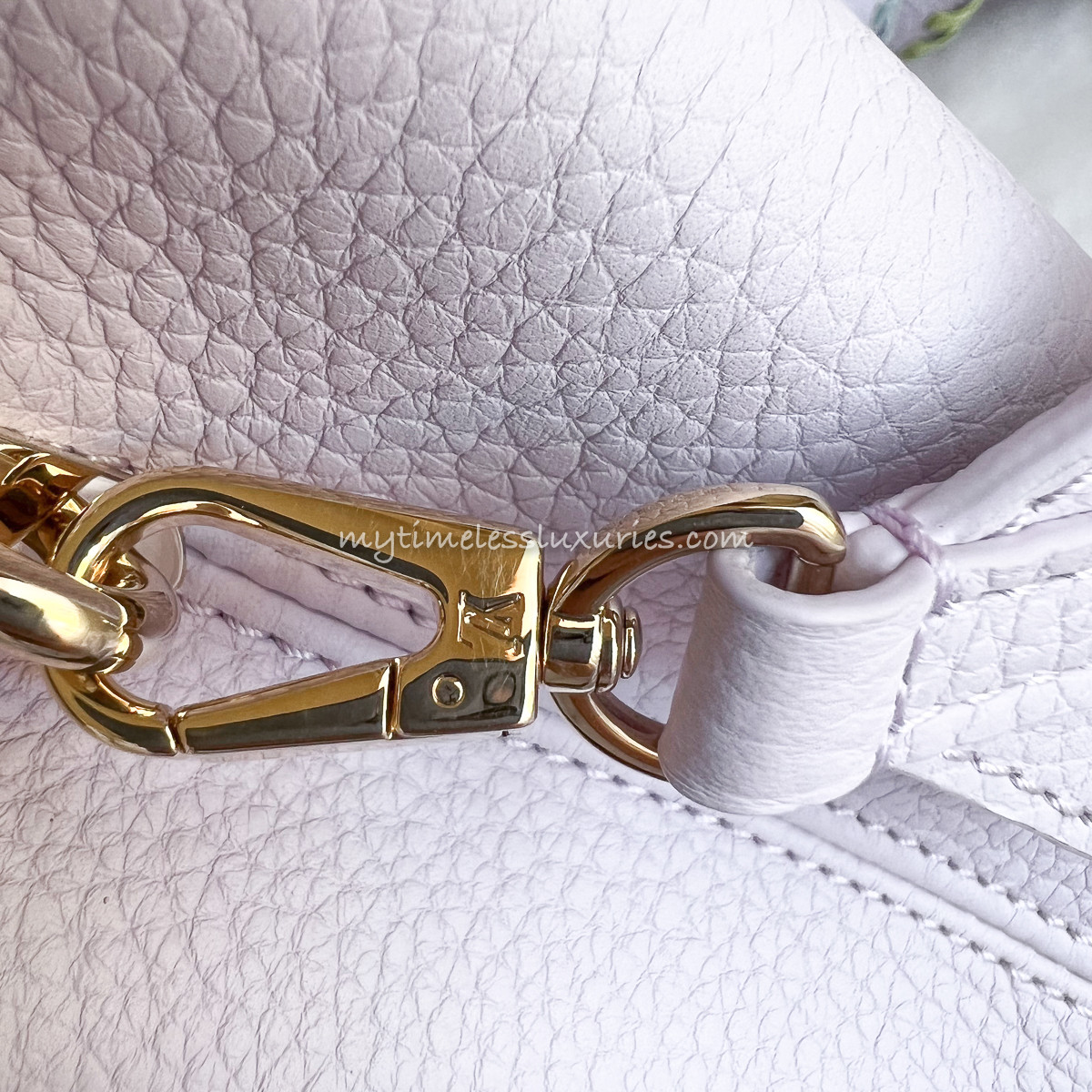 LOUIS VUITTON Capucines Mini Rainbow Wisteria - Timeless Luxuries
