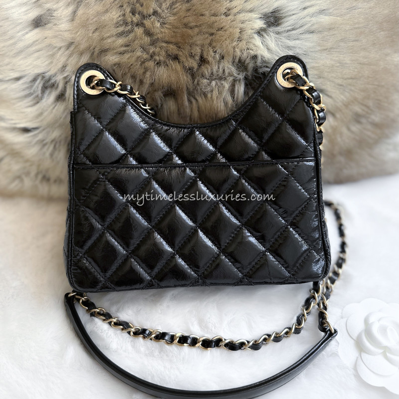 CHANEL 23C Runway Small Hobo Bag *New - Timeless Luxuries